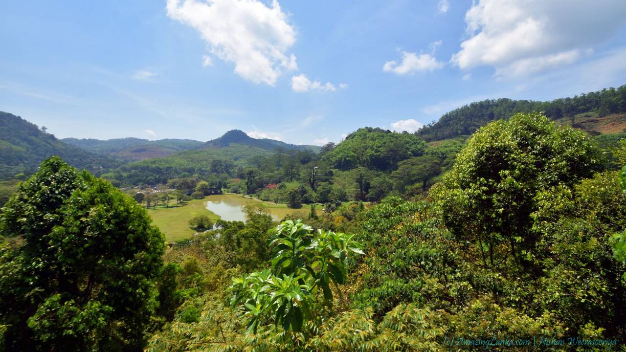 Seethawaka Botanical Garden | AmazingLanka.com