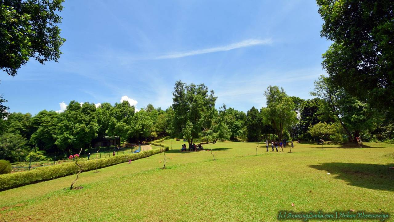 Seethawaka Botanical Garden | AmazingLanka.com