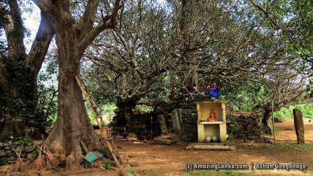 Yatimadura Jethawanarama Rajamaha Viharaya | AmazingLanka.com