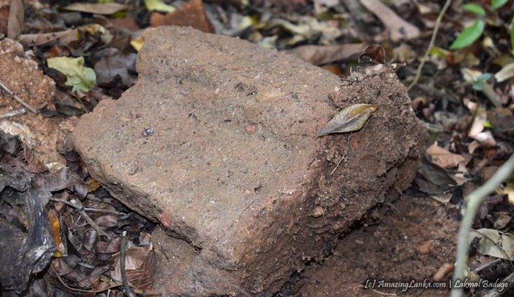 Muththunagar Buddhist Ruins in Trincomalee | AmazingLanka.com