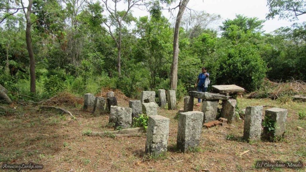 Handapanwila Rajamaha Viharaya Archaeological Site | AmazingLanka.com