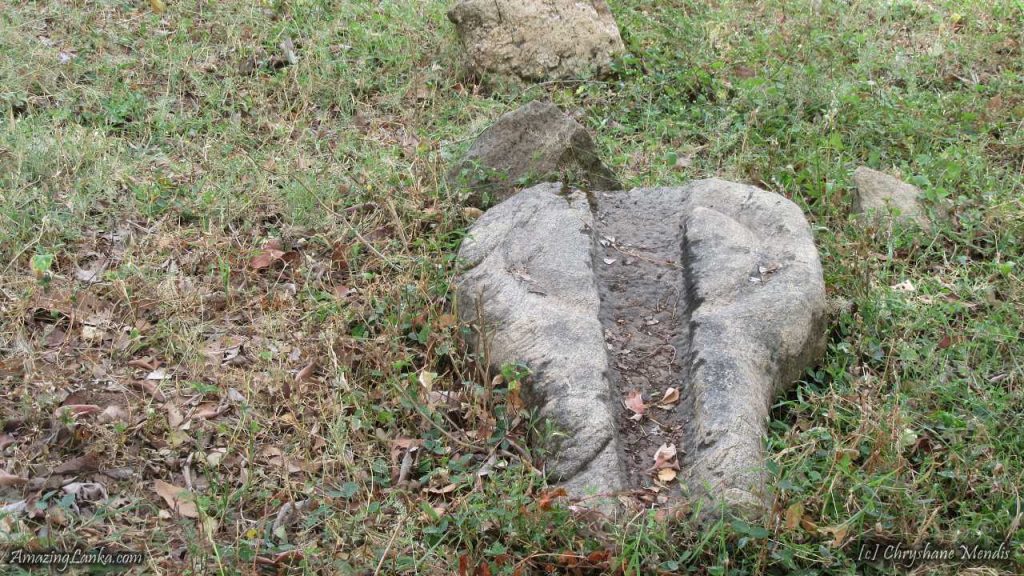 Handapanwila Rajamaha Viharaya Archaeological Site | AmazingLanka.com
