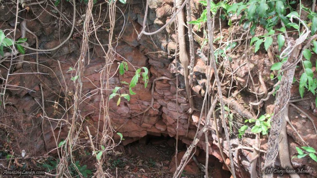 Handapanwila Rajamaha Viharaya Archaeological Site | AmazingLanka.com