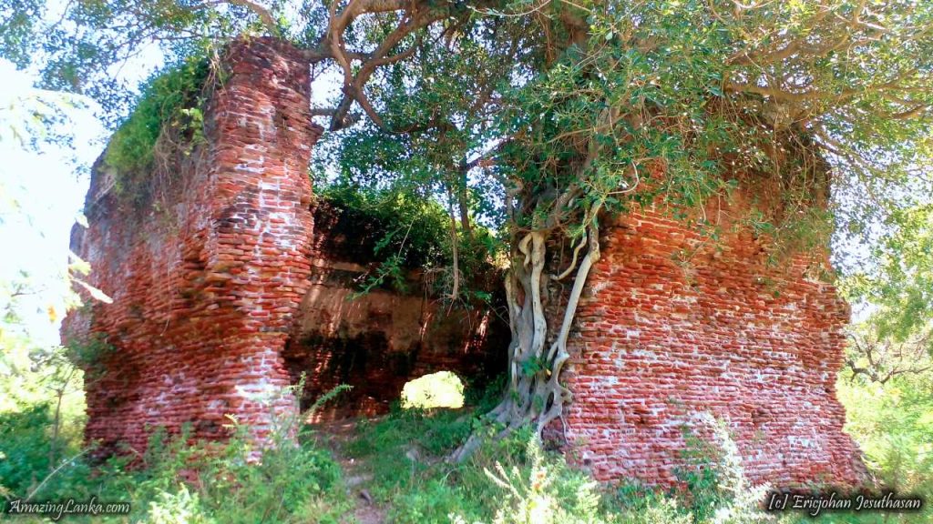 Kappa Kovil (Portuguese Church) Ruins in Mannar | AmazingLanka.com