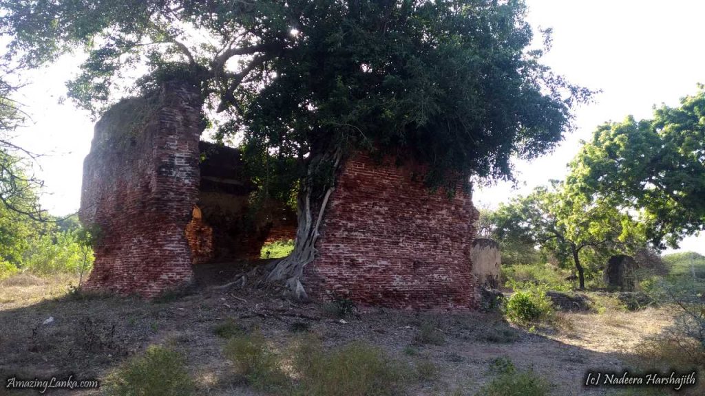 Kappa Kovil (Portuguese Church) Ruins in Mannar | AmazingLanka.com