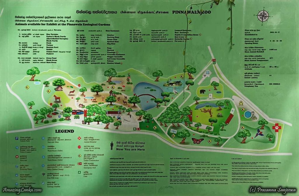 Pinnawala Zoo | AmazingLanka.com