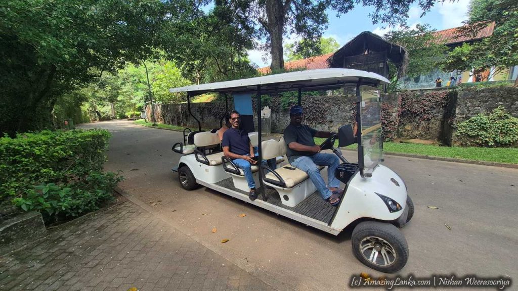 Pinnawala Zoo | AmazingLanka.com