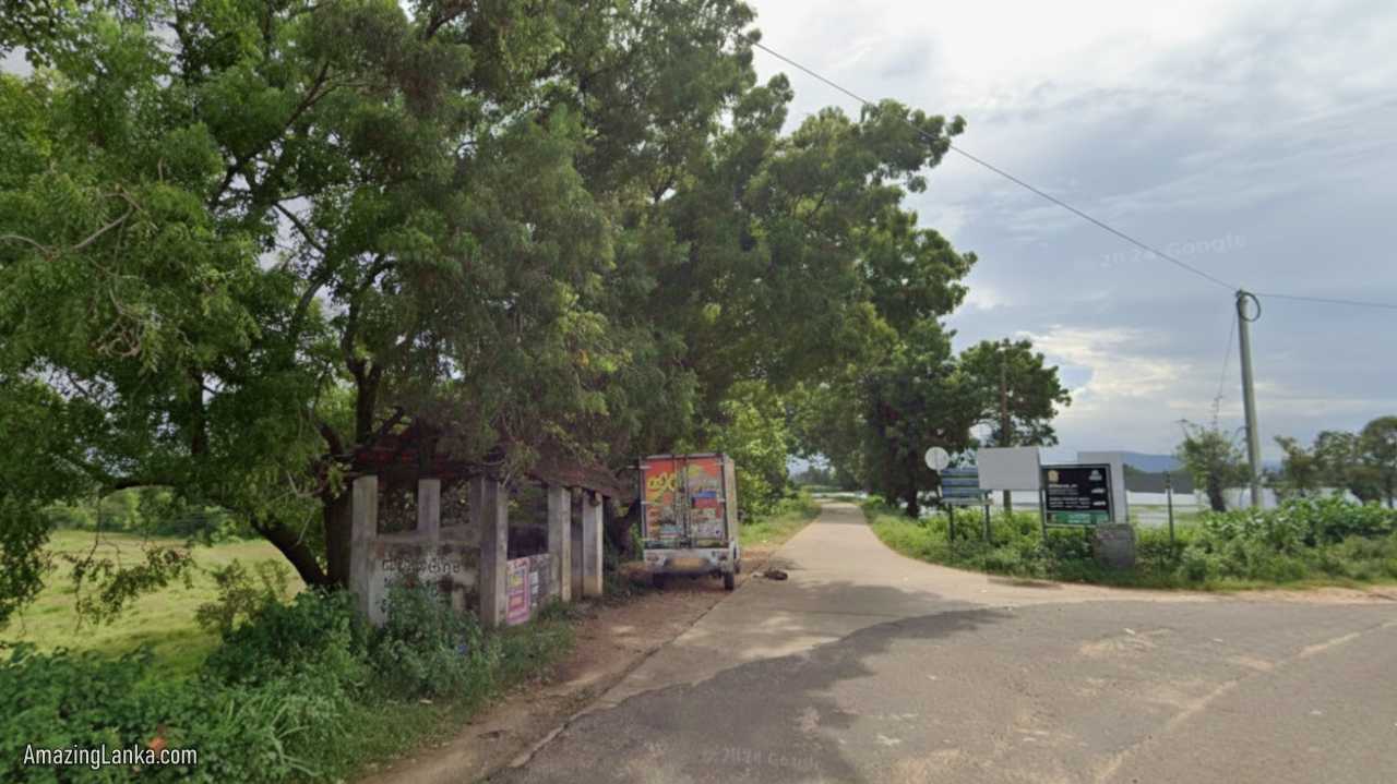 Bhu Wewa Biso Kotuwa in Polonnaruwa | AmazingLanka.com